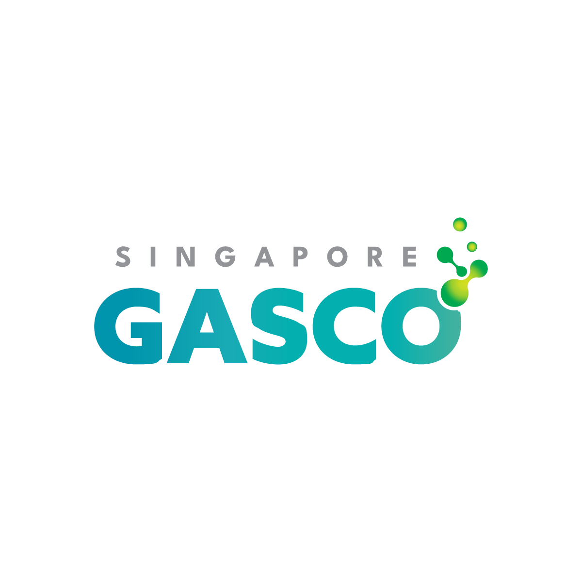 Singapore GasCo - Safeguarding Singapore’s Energy Security